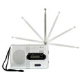 Portable Radio, AM FM Radio Telescopic Antenna World Receiver Speaker ...