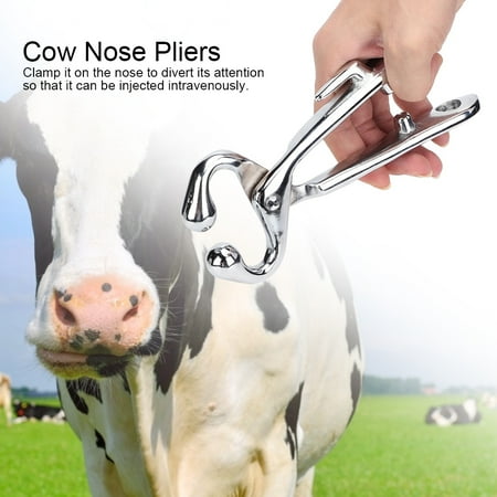 Fyydes Carbon Steel Cow Nose Ring Bull Cattle Bovine Clip Pulling ...
