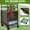 2Pack Raised Garden Bed with Tomato Planter Cage, 59" Self-Watering ...