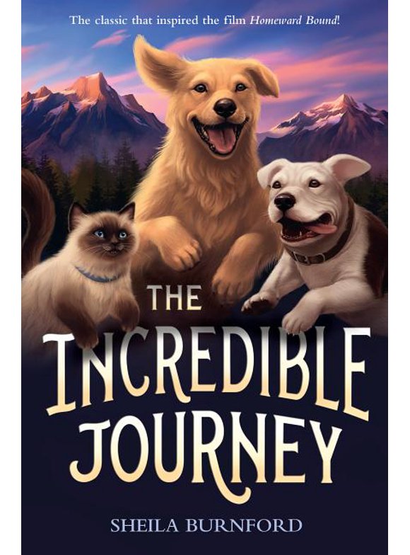 Action & Adventure Kids' Books in Children's & Kids' Books - Walmart.com