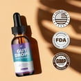 Gut Drops, Extra Strength Formula, Healthy Levels Support, Grape Seed ...