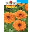 Burpee Trellis & Fence Garden Starter Garden Flower Seed Collection, 1 ...