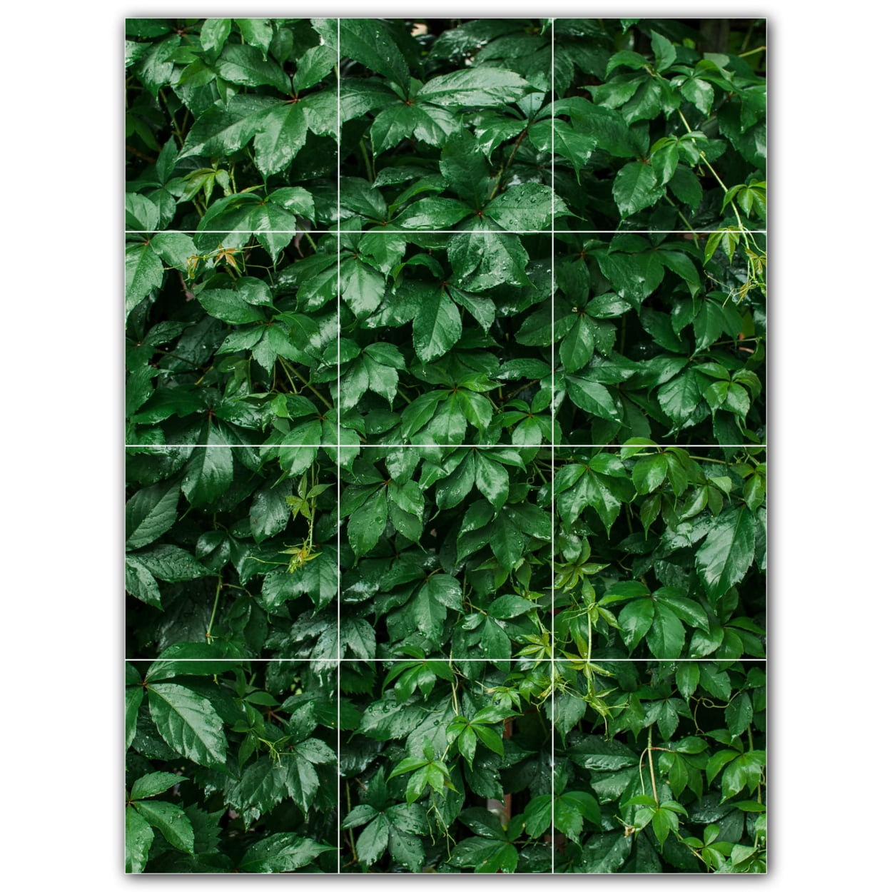 Picture-Tiles.com: Trees Ceramic Tile Wall Mural WAL501006-34XL. 36"W x ...