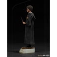Harry Potter - Harry Potter - Art Scale 1/10 - Iro - Walmart.com