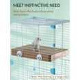 7.3 Inch Paper Bird Toys, Bird Platform, Parrot Toy, Help Birds Clean ...