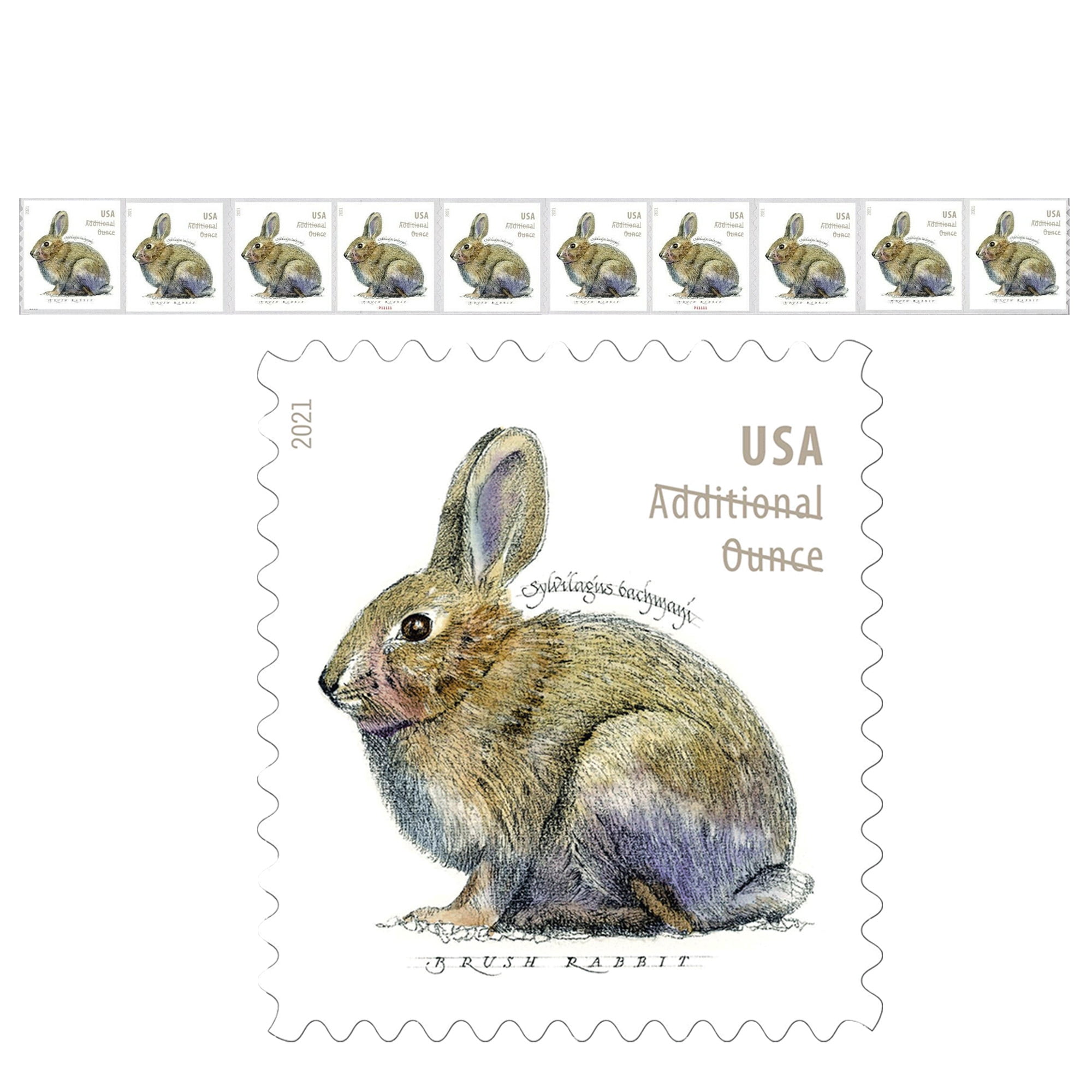 Brush Rabbit ADDITIONAL Ounce Rate USPS Postage Stamp 1 Strip Of 10 US Brush Rabbit ADDITIONAL Ounce Rate USPS Postage Stamp 1 Strip Of 10 US