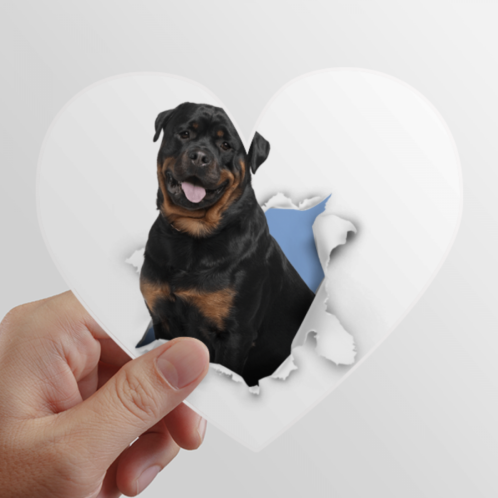 Animal Paper Break Shocks Bad Dogs Heart Vinyl Sticker Bicycle Bottle ...