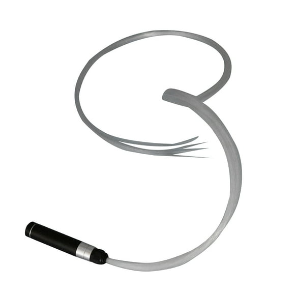 Toy Whip
