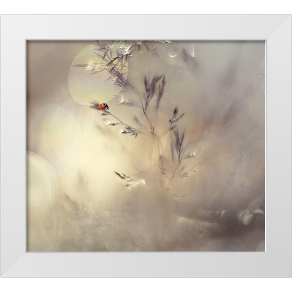 Westum, Heidi 22x20 White Modern Wood Framed Museum Art Print Titled ...