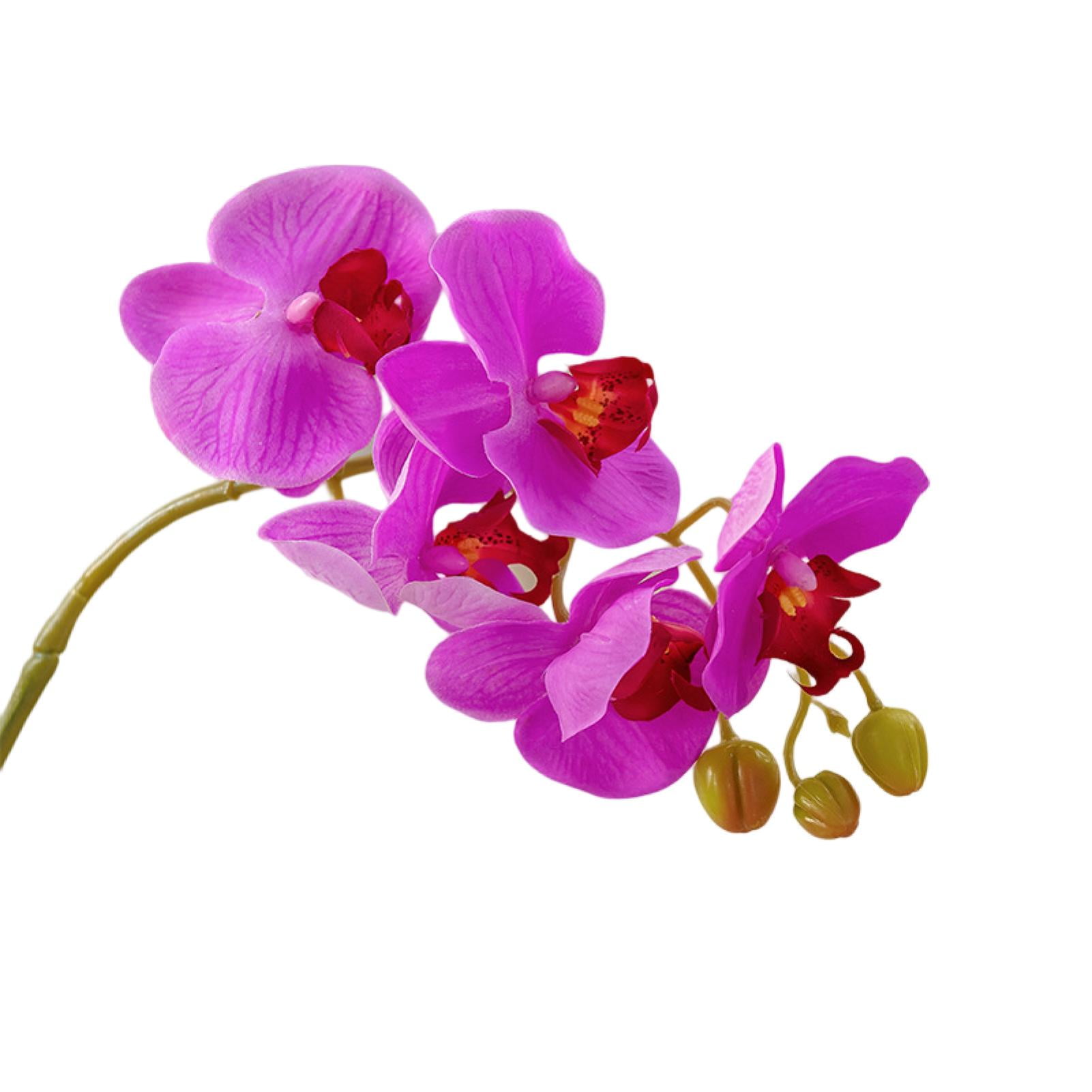 Farfi Artificial Butterfly Orchid Realistic Fake Flower Wedding ...