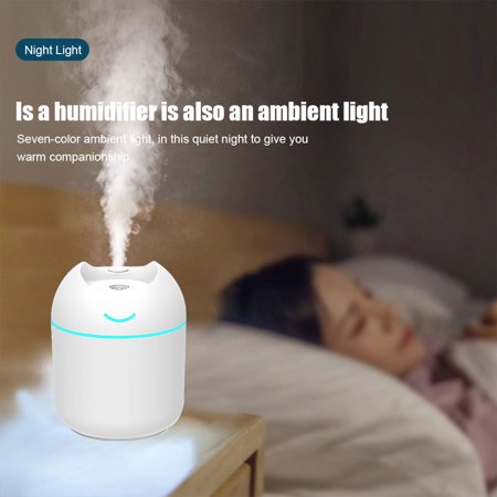 TB&W Mini Air Humidifier USB Diffuser for Home Car Sprayer Mist Maker ...