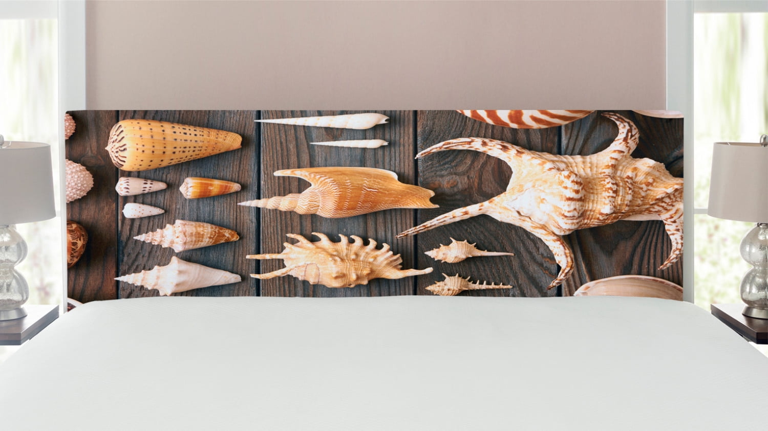 Seashells Headboard, Seashell Background Still Life Spiral Wooden Table ...