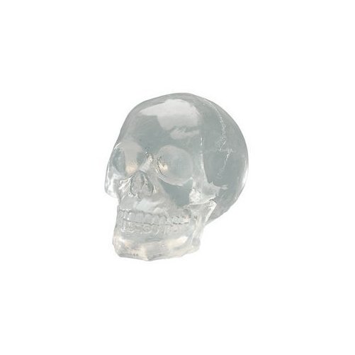 Clear Translucent Skull Collectible Figurine - Walmart.com