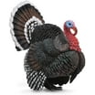 Collecta Turkey Animal Toy - Walmart.com