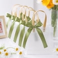 20 Pcs Clear Gift Bags with Green Ribbon Bows, Elegant PVC Party Bags ...