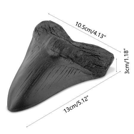 Shark Teeth Resin Easy Clean Realistic in Tooth Resin Vintage Shape ...