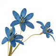 12 Pack: Indigo Blue Peruvian Flower Spray by Ashland® - Walmart.com