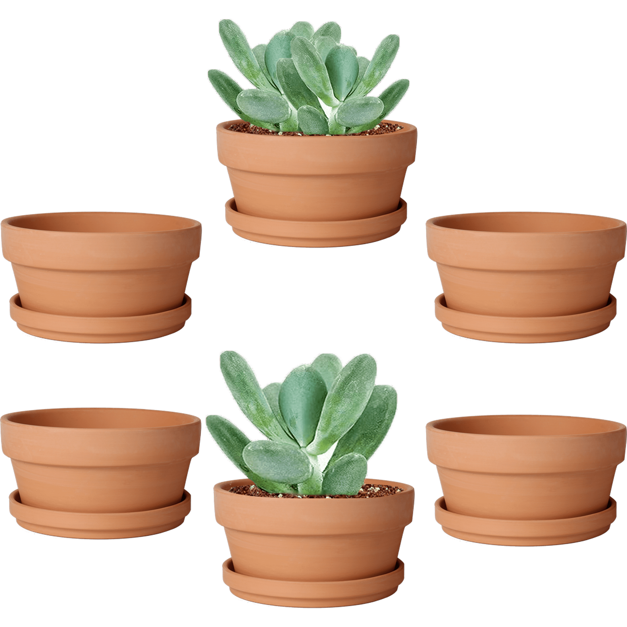 Click here for Vensovo 3.7 Inch Terracotta Shallow Succulent Pot... prices