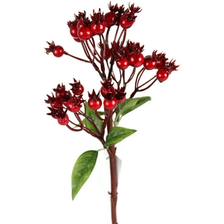 Rose Hip Stem 20"-Red | Walmart Canada