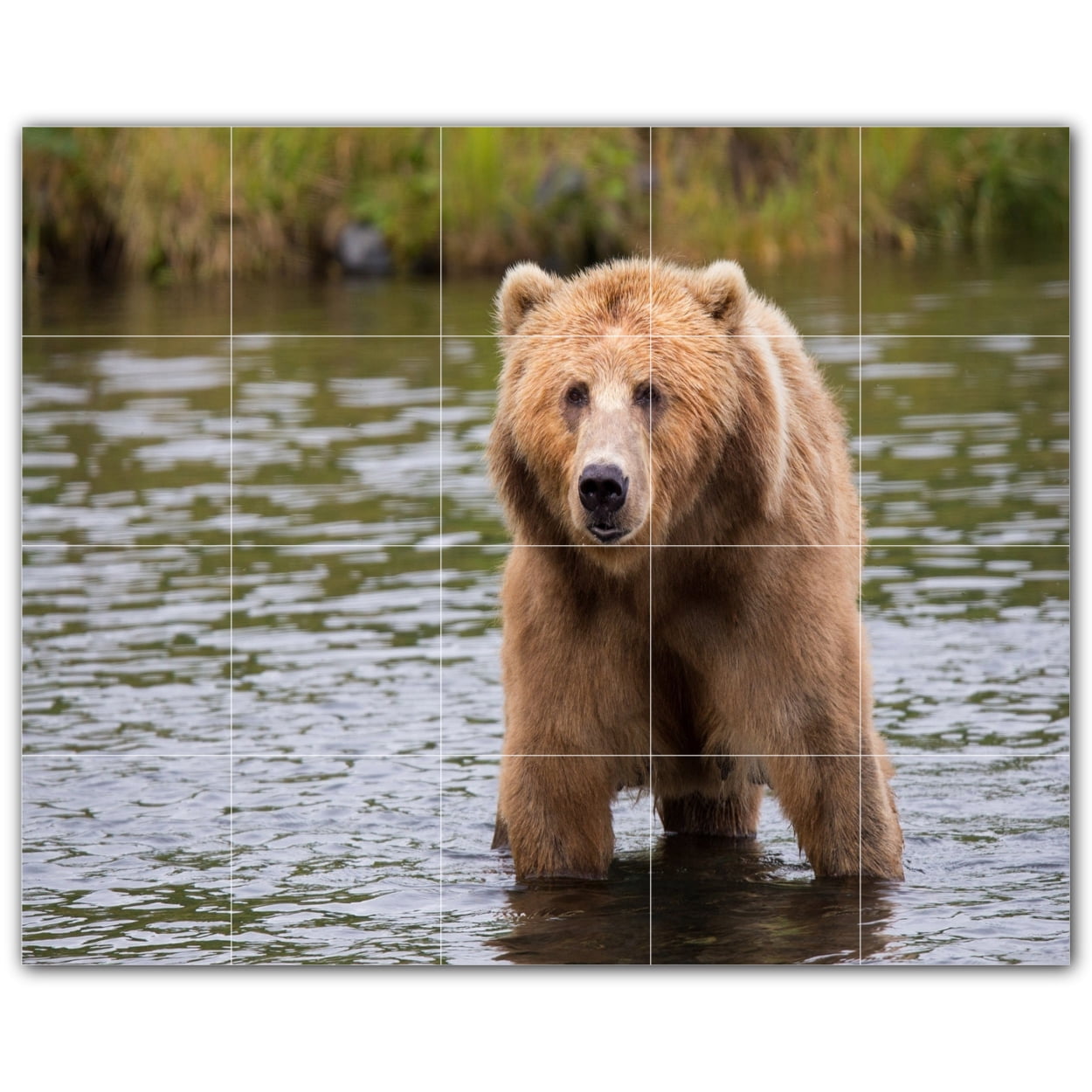 Picture-Tiles.com: Bear Ceramic Tile Wall Mural WAL500126-54XL. 60"W x ...
