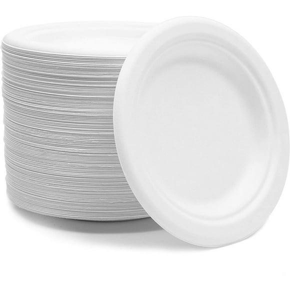 Small Dessert Paper Plates