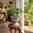 Orangide European Vintage Pedestal Planter, Textured Stone Urn Flower ...