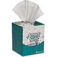 Premium Facial Tissues, 2-Ply, White, 100 Sheets/Flat Box, 30 Boxes ...