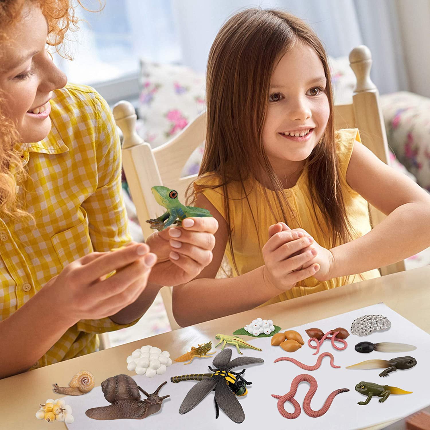 Insect Figurines Life Cycle Life Cycle Of Frog Snail Earthworm insect-figurines-life-cycle-life-cycle-of-frog-snail-earthworm