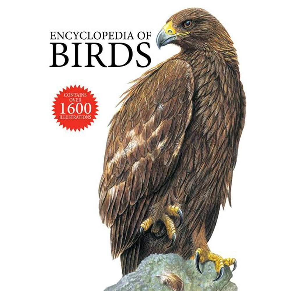 Encyclopedia of Birds (Hardcover) - Walmart.com - Walmart.com