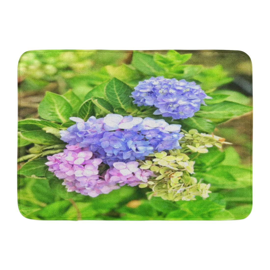 GODPOK Green Bloom Blue Beautiful Multicoloured Hydrangea Flowers in ...