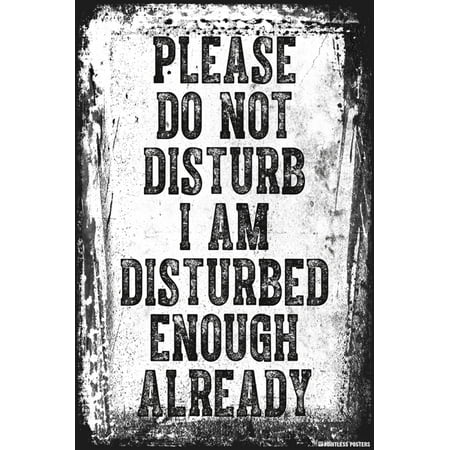 Please Do Not Disturb I Am Disturbed Enough Already Poster - Walmart.com
