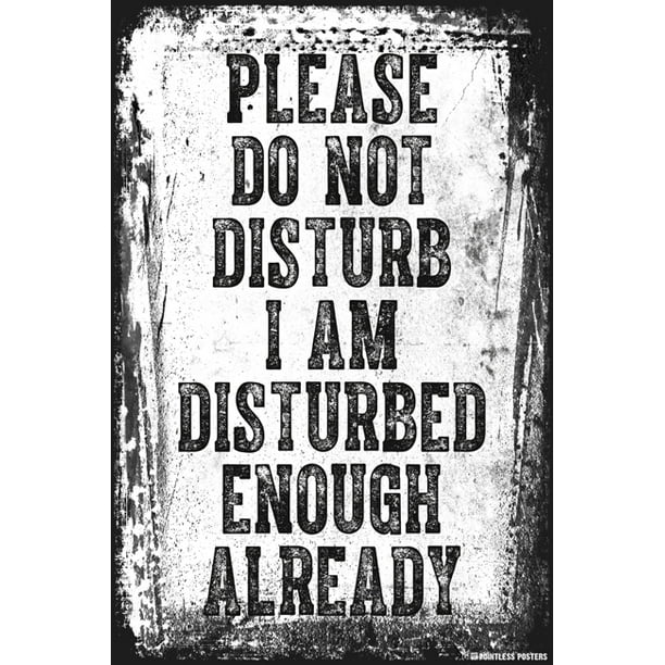 Please Do Not Disturb I Am Disturbed Enough Already Poster - Walmart ...