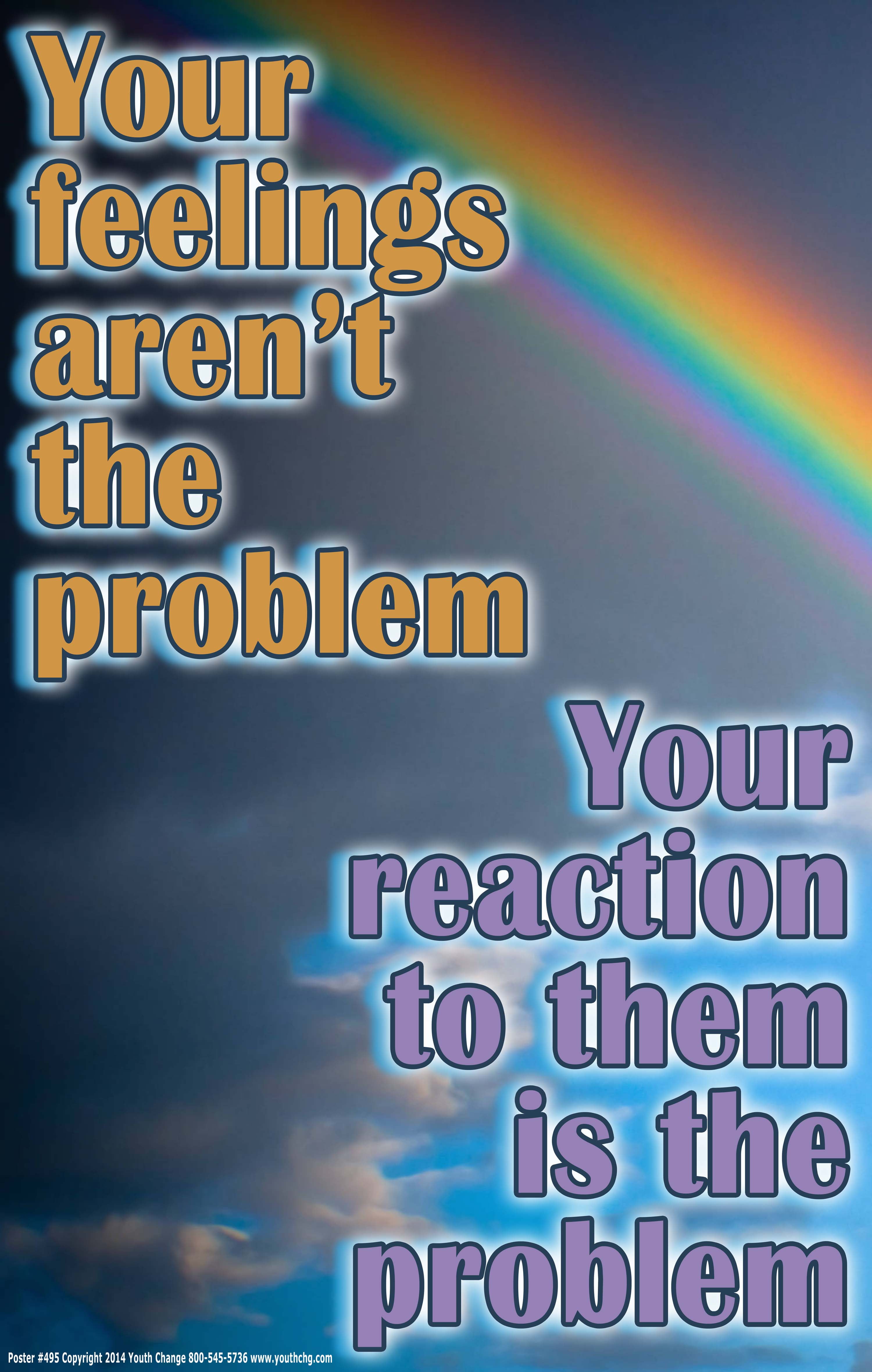 Youth Change Poster #495 Feelings, Emotions Management Poster for ...