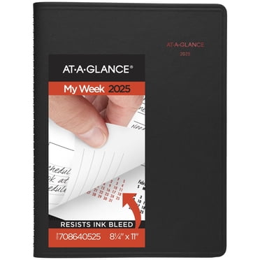 AT-A-GLANCE DayMinder Weekly Appointment Book, 8 x 11, Black, 2018 ...