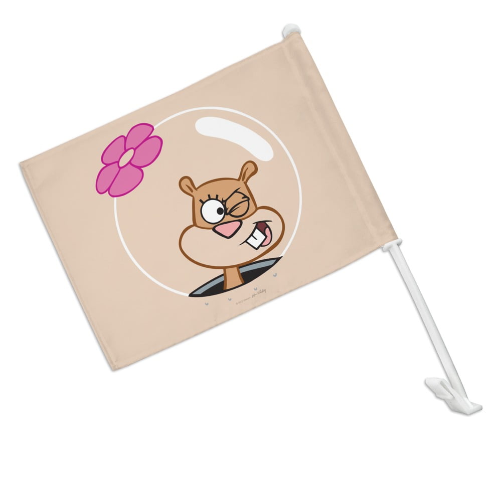 SpongeBob Sandy Wink Face Car Truck Flag with Window Clip On Pole ...
