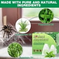 (30 Pack) Spider Repellent with Peppermint Oil, Squirrel & Rat ...