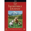 The Incredible Journey (DVD) - Walmart.com