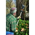 Worx WG308 5 Amp 4 in. JawSaw Electric Chain Saw with Extension Pole ...