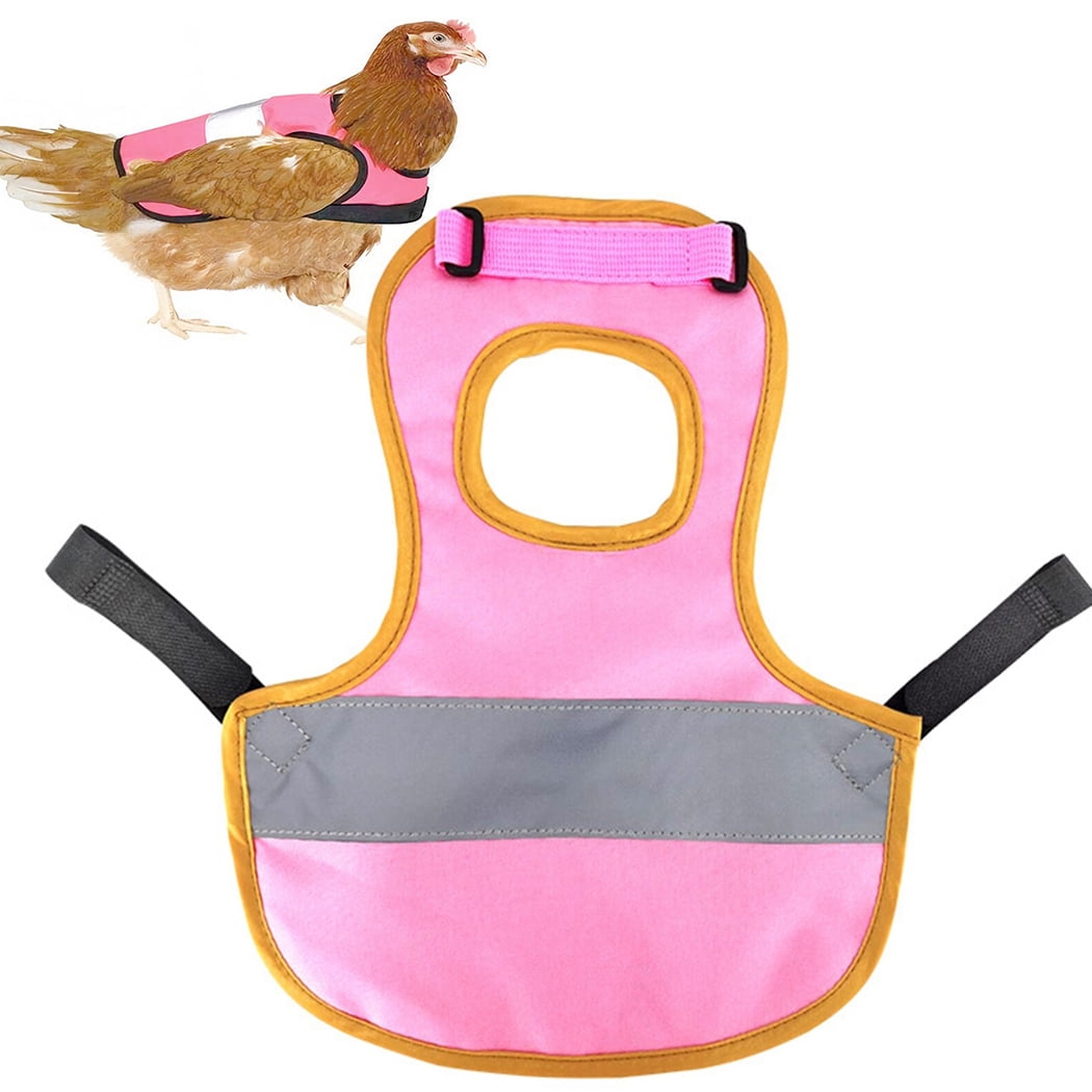 Hen Harness Reflective Duck Harness Pet Vest Chicken Clothes for Goose ...