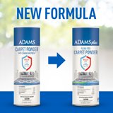 Adams Carpet Powder with Linalool and Nylar, Kills Fleas & Ticks, 16 ...