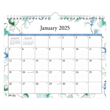 2025 Blue Sky Monthly Wall Calendar, 11" x 8-3/4", Fly By, January 2025 ...