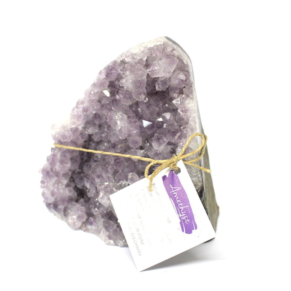 Amethyst Cluster Cut Base - Geode Crystal w/ Rock Paradise Exclusive ...