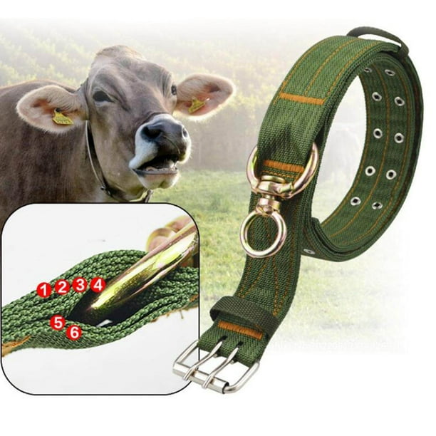 Thickened Cow Neck Collar Adjustable Farm Animals collar sheep neck ...