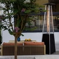 Pyramid Patio Heater,48,000 BTU Outdoor Propane Heater with Glass Tube ...