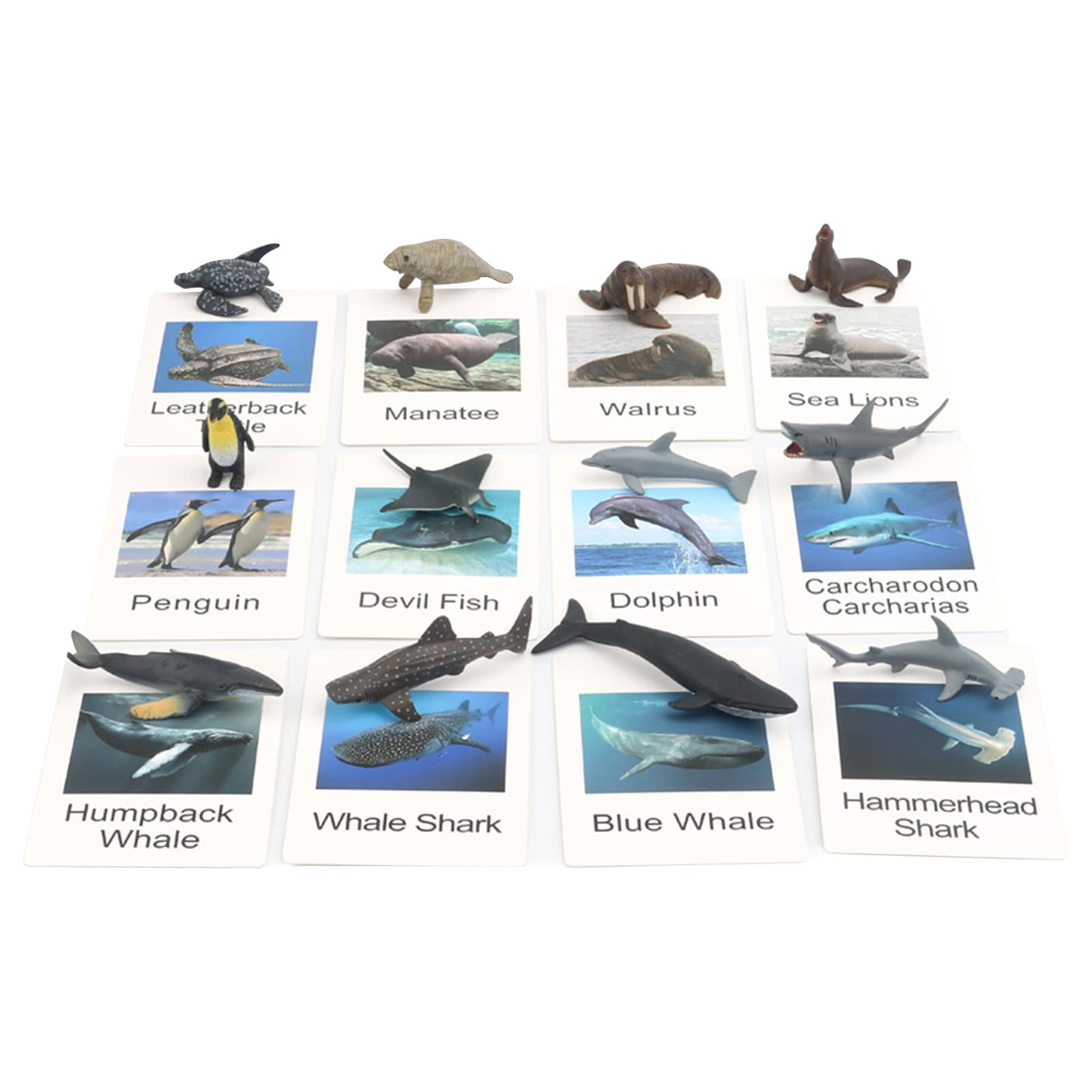 12x Sea & Animal Figures Animals Mini Animal Figures with Flashcards ...