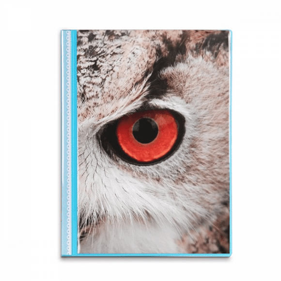 Owl Binder