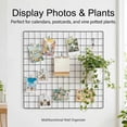 Painted Wire Wall Grid Panel, Multifunction Photo Hanging Display and ...