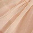 Baby Girl Tulle Dress A-Line Beige Girls Dress Sleeveless Princess ...