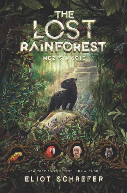 The Lost Rainforest: Mez's Magic (Hardcover) - Walmart.com