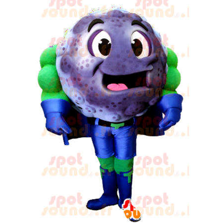 SPOTSOUND mascot of blueberry, blackcurrant in superhero outfit ...